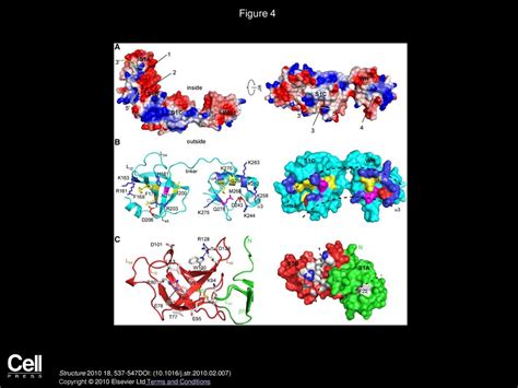 Volume 18 Issue 4 Pages March 2010 Ppt Download