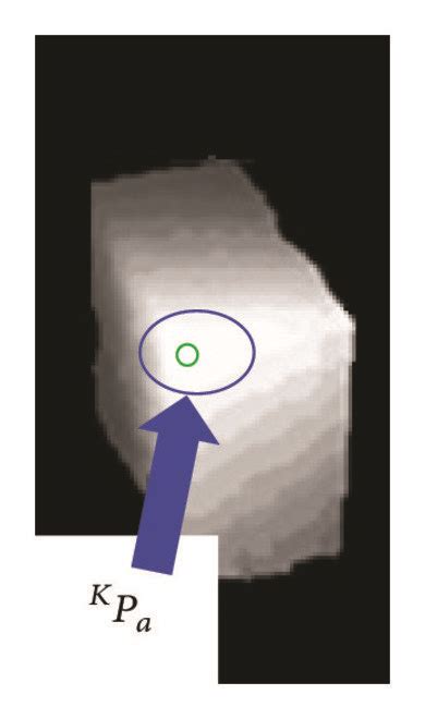 Object Description Algorithm The Color Image A Presented To