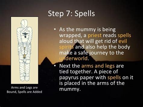 Steps Of Mummification Driverlayer Search Engine