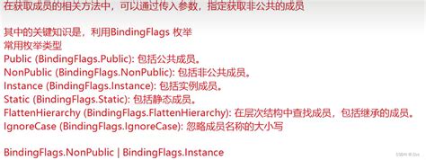 c 反射：获取私有成员及访问控制 csdn博客