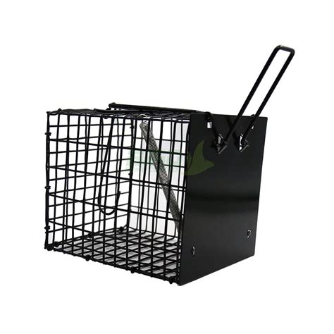 Mini Small Type Mouse Trap Cage Gkmt 01 Bird Control Products