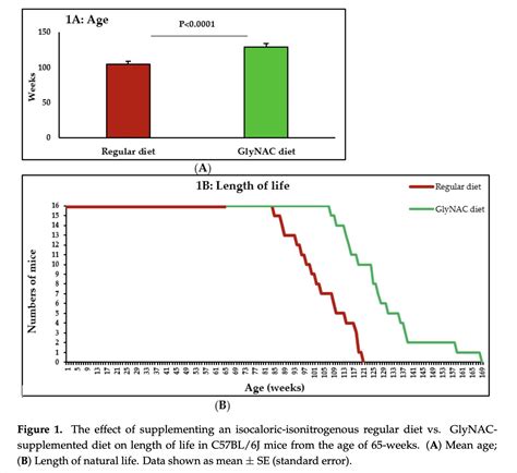 Glycine + N-Acetylcysteine increases lifespan by ~25%. | Bioenergetic Forum