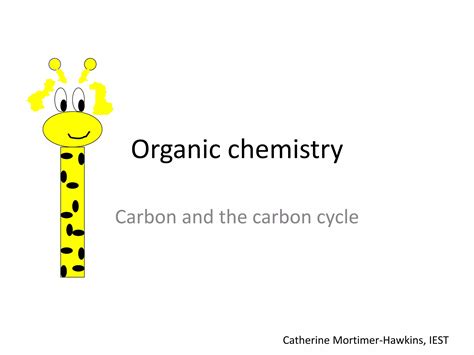 Organic Chemistry Carbon And Carbon Cycle Ppt