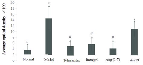 Immunohistochemical Staining Results Of Pmca1 In Myocardial Tissue Of
