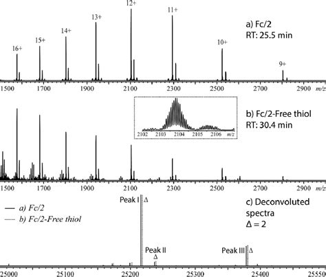 Free Thiol Groups Quantification Service Mtoz Biolabs