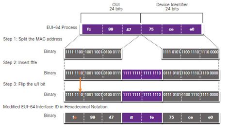 Ccna 1 V7 0 Curriculum Module 12 Ipv6 Addressing