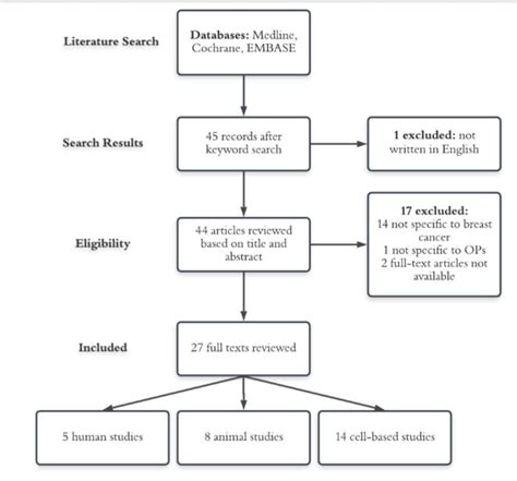 Flow Chart Summarizing Study Identification And Selection Process