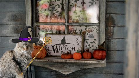 Brief Cat History By Aria Kittystead Kittystead