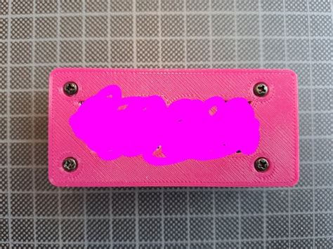 New Case R Pwnagotchi