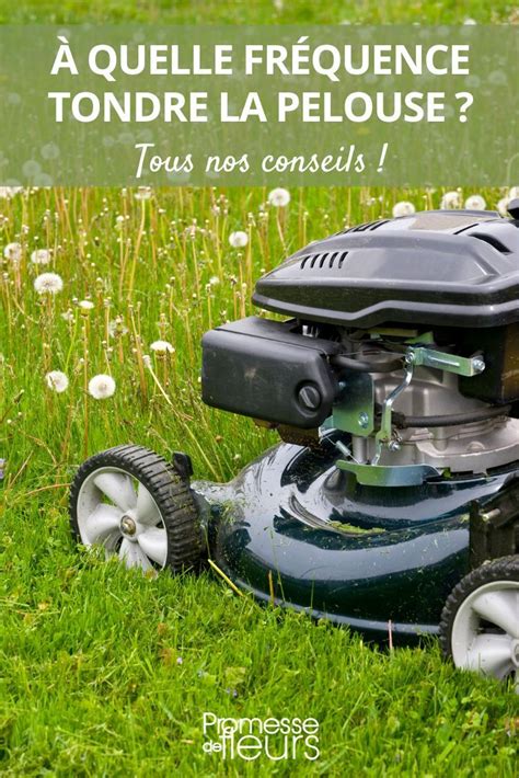 16 Idées De Gazon Gazon Jardins Entretien Pelouse