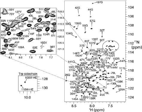 Backbone Amide Resonance Assignments Of Yop1p In Lmpgdppc Mixed