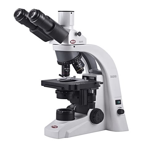 Bio 211 Lab Topic One Compound Microscopes Diagram Quizlet