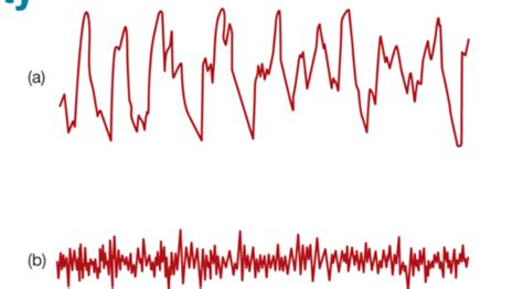 Chapter 9 Sleep And Biological Rhythms Flashcards Quizlet