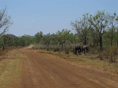 Gibb River Road Kimberley Western Australia Stock Image Image Of