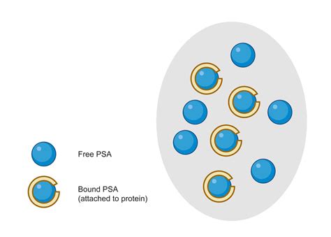 About The Psa Test Pcfa