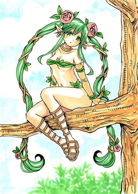 Dryad Terraria Drawn By Rodeorodeo Danbooru