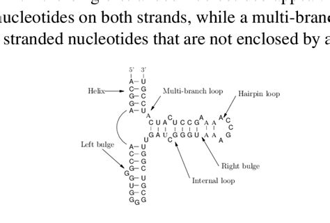 helices and different types of loops in rna secondary structures