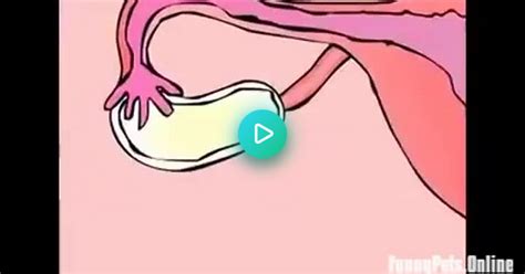 Menstrual Cycle In A Funny Way Album On Imgur