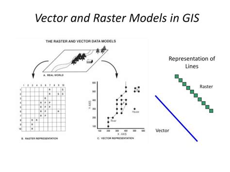 PPT Vector And Raster Data Models PowerPoint Presentation ID