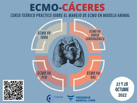 Sofía Ortego Posted On Linkedin