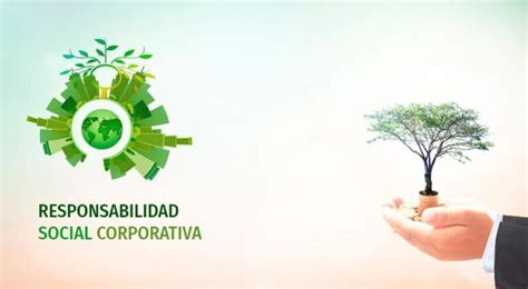 La Sostenibilidad En Las Empresas Un Enfoque Necesario Y Rentable