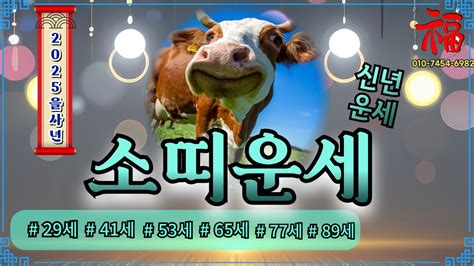 🎉2025년 미리 아는 을사년 소띠 총운🎉🔉 귀인과 금전이 기다리고 있는 소띠29세 41세 53세 65세 77세 89세 수원