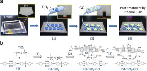 A Graphical Illustration And B Reaction Schemes For The Surface