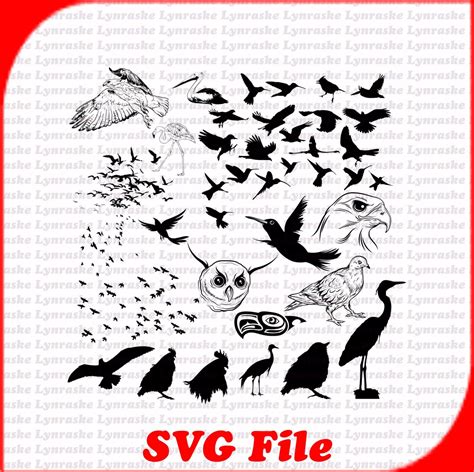 Birds Silhouette Vectors Svg Svg Dxf Cricut Silhouette Cut Etsy