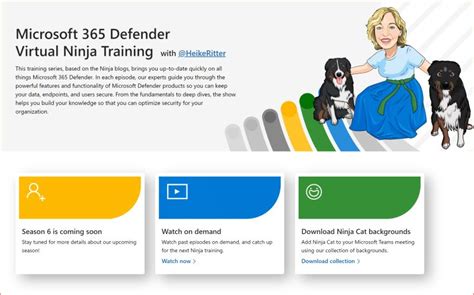 Cybersecurity Training Learning Shiftavenue David Das Neves