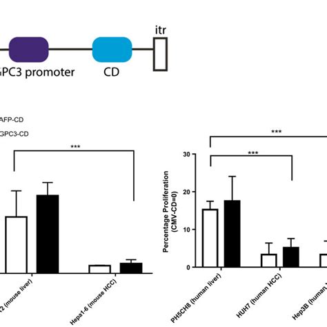 Expression Of Gpc3 In Humans Expression Levels Of Gpc3 In Hcc Patients