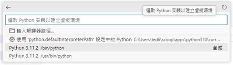 樹莓派 5 使用 Vs Code 遠端開發 Python 程式 偵錯桐人