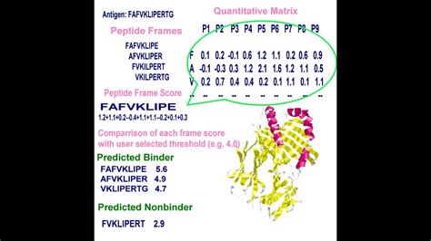 Bioinformatics Practical Introduction Youtube