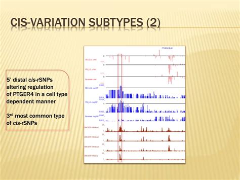Ppt Cis Regulatory Snps Altering Transcription Detected By Allelic Expression Mapping