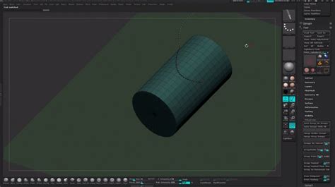 Insert Mesh Curve Brushes In Zbrush R