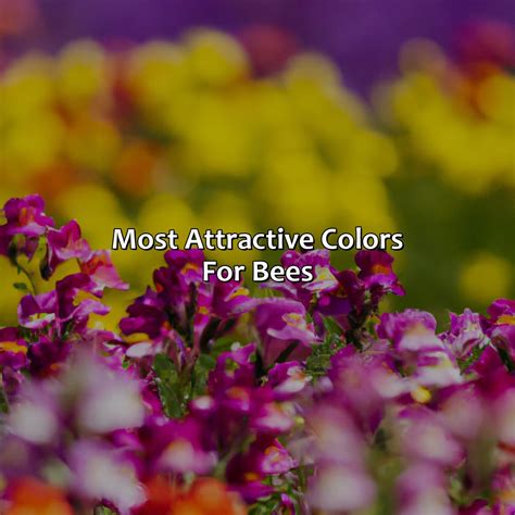 What Color Do Bees Like Colorscombo Com