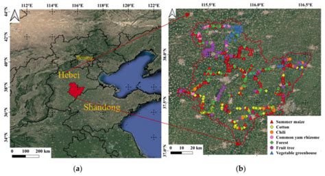 Remote Sensing Free Full Text Evaluation Of Five Deep Learning Models For Crop Type Mapping