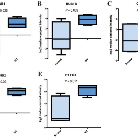 Validation Of Gene Expression Based On The Oncomine Database Gene