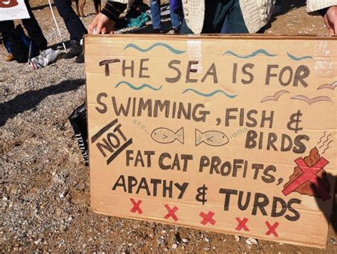 Falmouth Protests At Sewage On Beaches Cornwall Reports