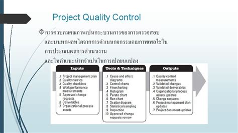 Project Quality Management Project Quality Plan Tool Techniques