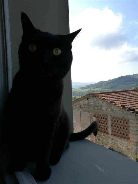 Stm32 Devcoons Framework Introduction And Project Setup 1 Devcoons