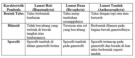 Bagaimana Bentuk Sporofit Lumut Daun Lumut Hati