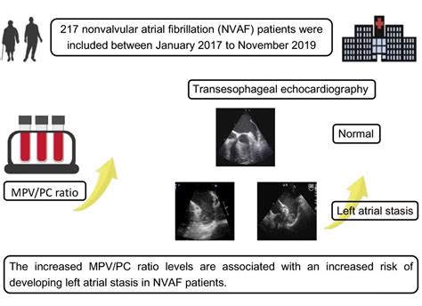 Mean Platelet Volume To Platelet Count Ratio Predicts Left Atrial Stas Ijgm