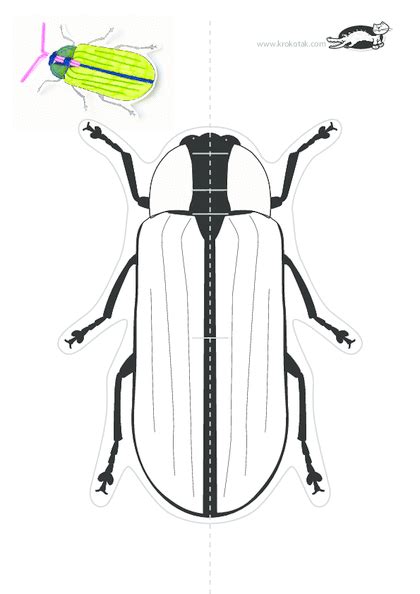 Stand Up Grasshopper Pattern Artofit