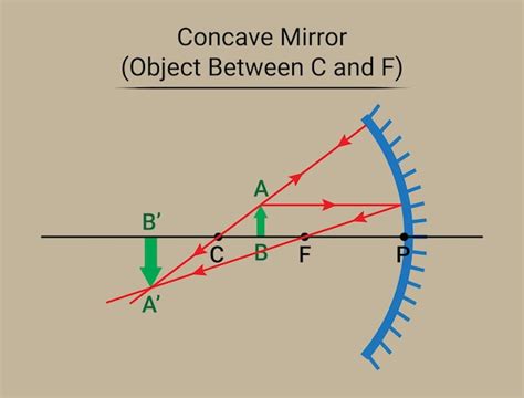 Objeto Espejo Cóncavo Entre C Y F Vector Premium