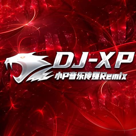 徐千雅 坐上火车去拉萨 DJ小P Vina House Remix DJ小P音乐频道 电台节目 网易云音乐