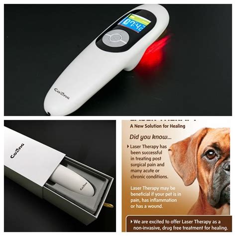 808nm And 650nm Hand Held Bio Laser Therapy Device With The Low Level