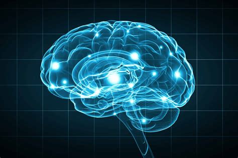Brain Rejuvenation Neurospa Brain Rejuvenation