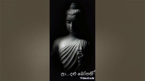ලා දළු බෝපත් New Song 2023 New Beat 2022 Youtube