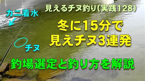 見えるチヌ釣り（実践128）冬に15分で見えチヌを3投3連発（前打ちでどうやって釣るか釣場選定と釣り方を解説）【見えてるチヌ／釣り方／前打ち