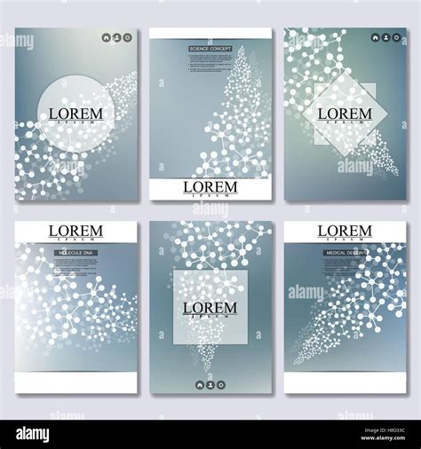 Vector Brochure Template Flyer Cover Magazine In A4 Size Structure